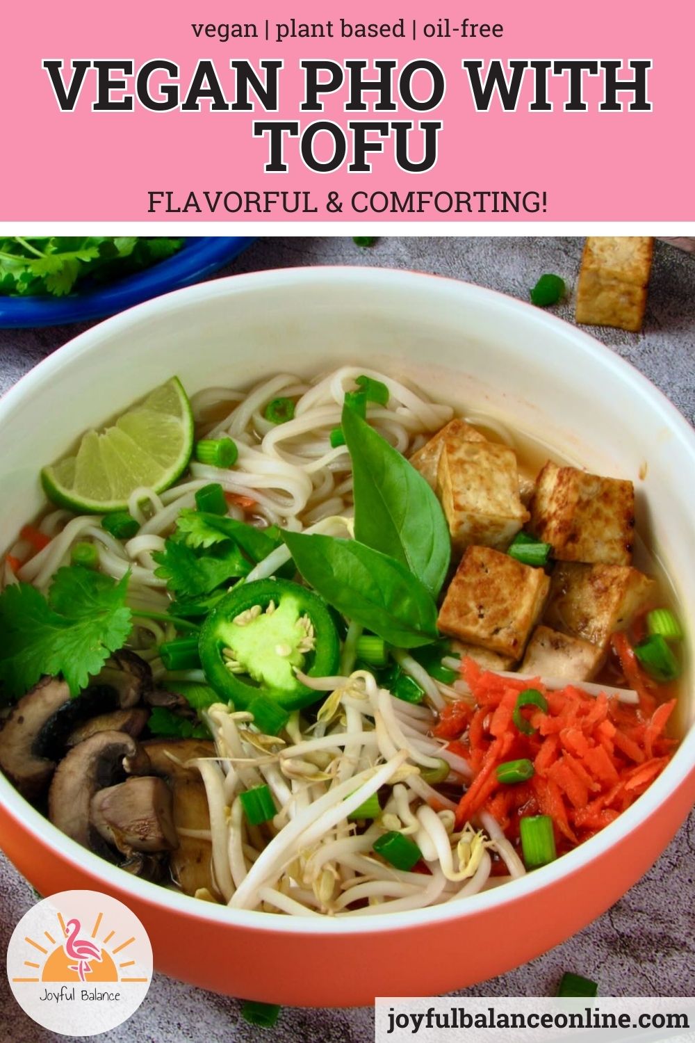 Vegan Pho With Tofu - Joyful Balance